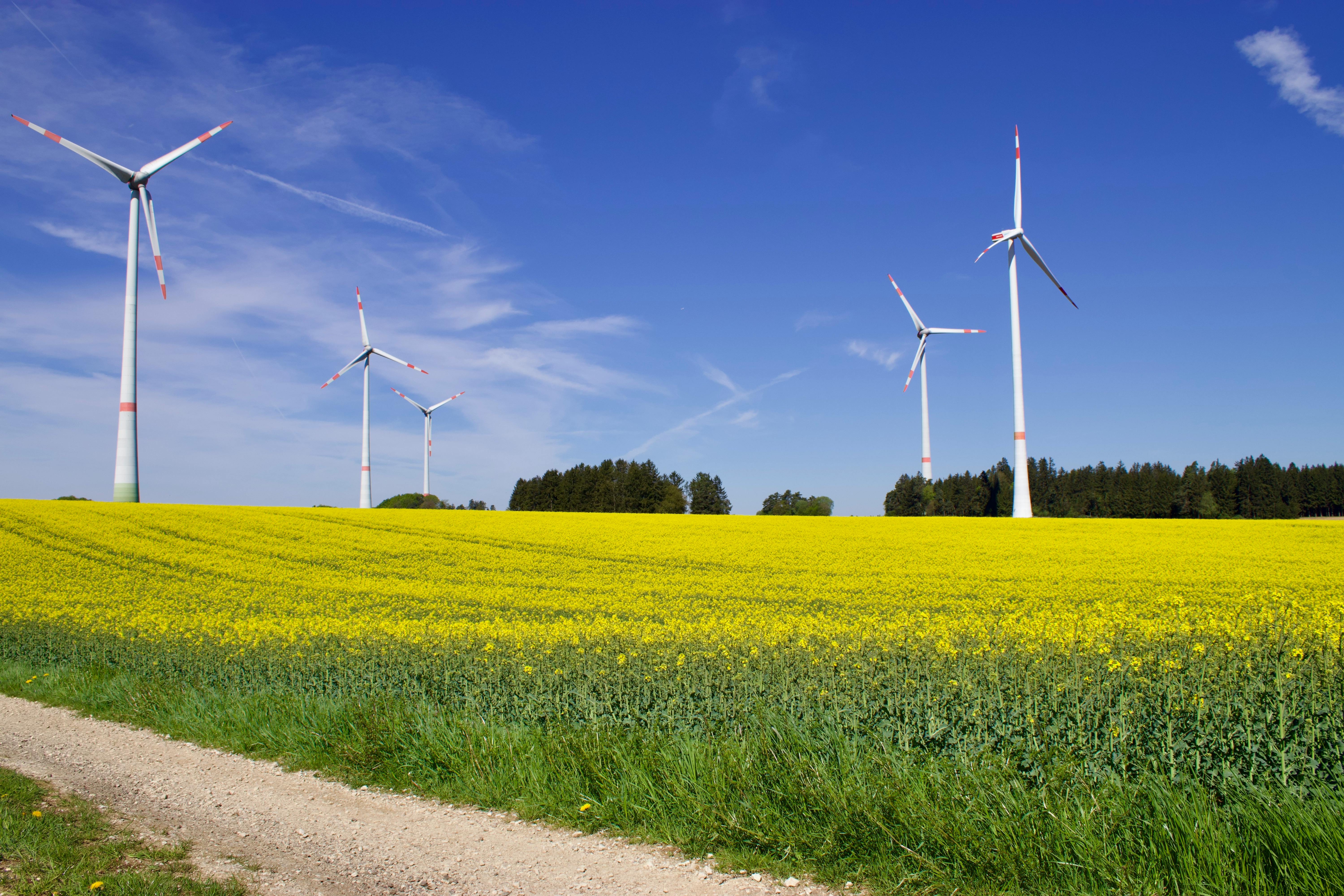 Reduce your CO₂ footprint with Bamboi® toilet paper